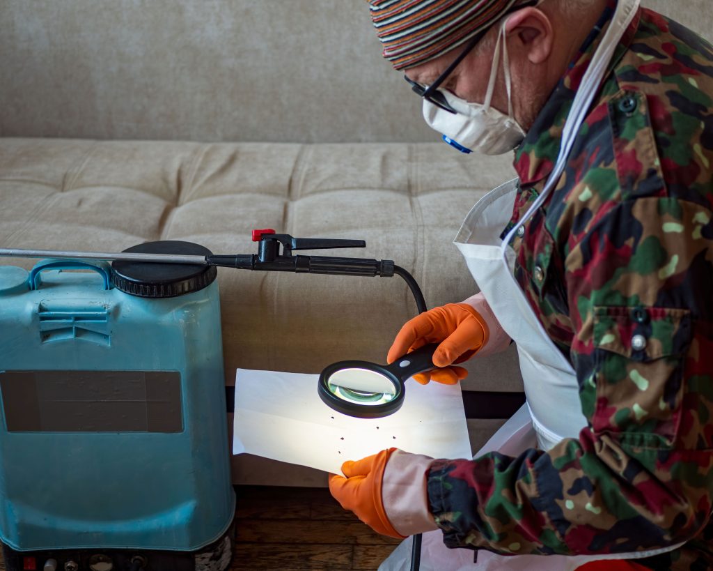 24/7 bed bug extermination services in Rochester, NY